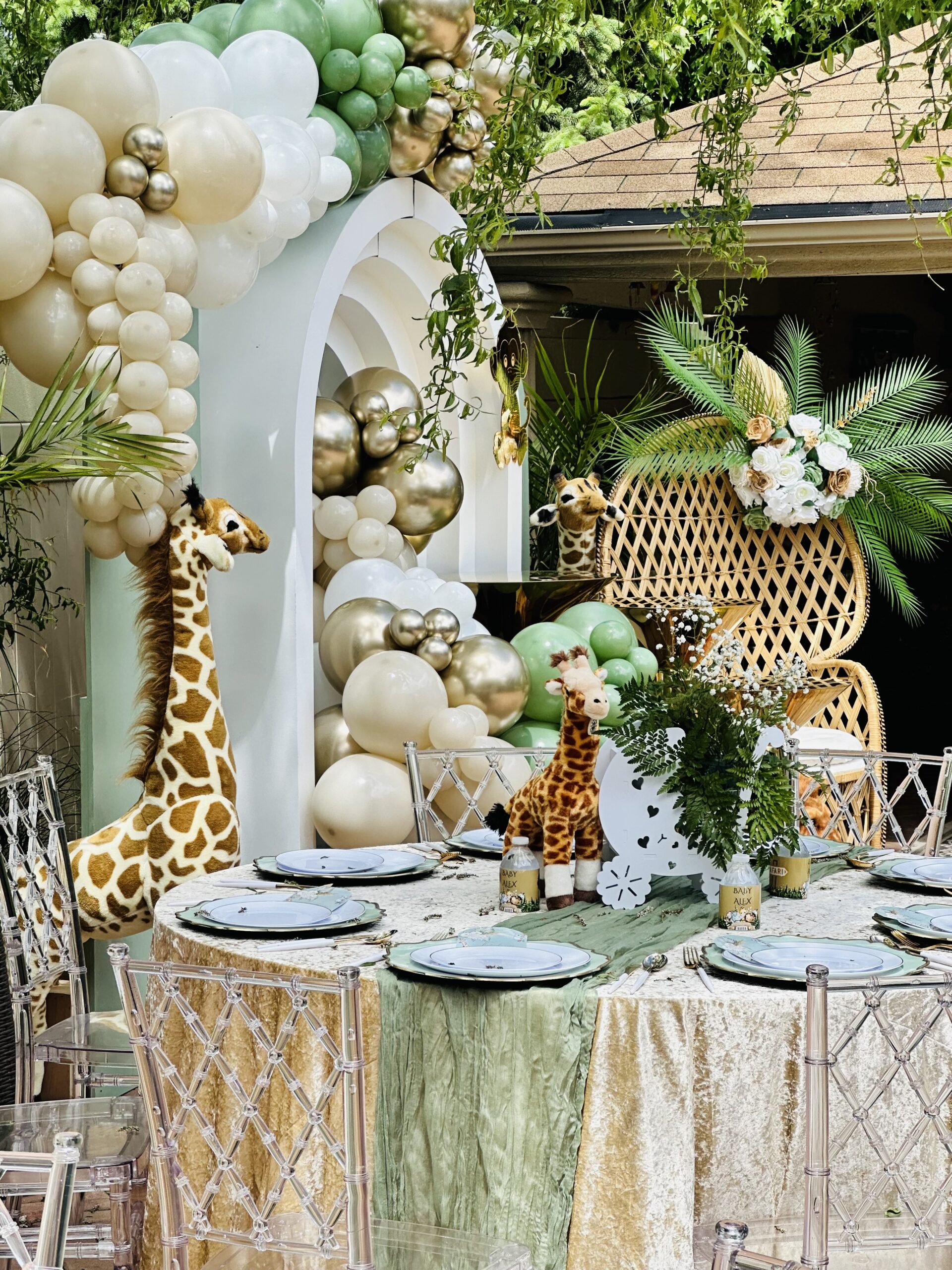Party Rentals & Decor